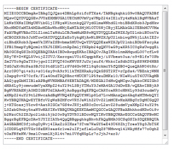 You’ve Got a New Verisign Authenticode Certificate – Now What?